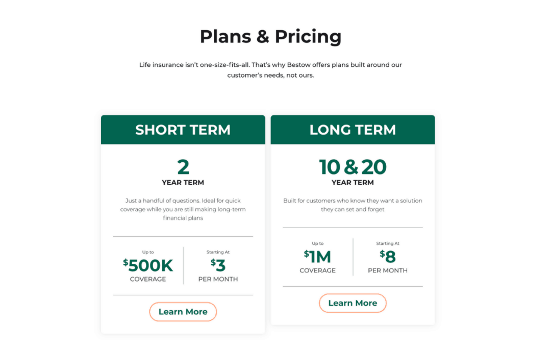 Bestow Life Insurance Review- The PAINLESS Way to Get Insurance